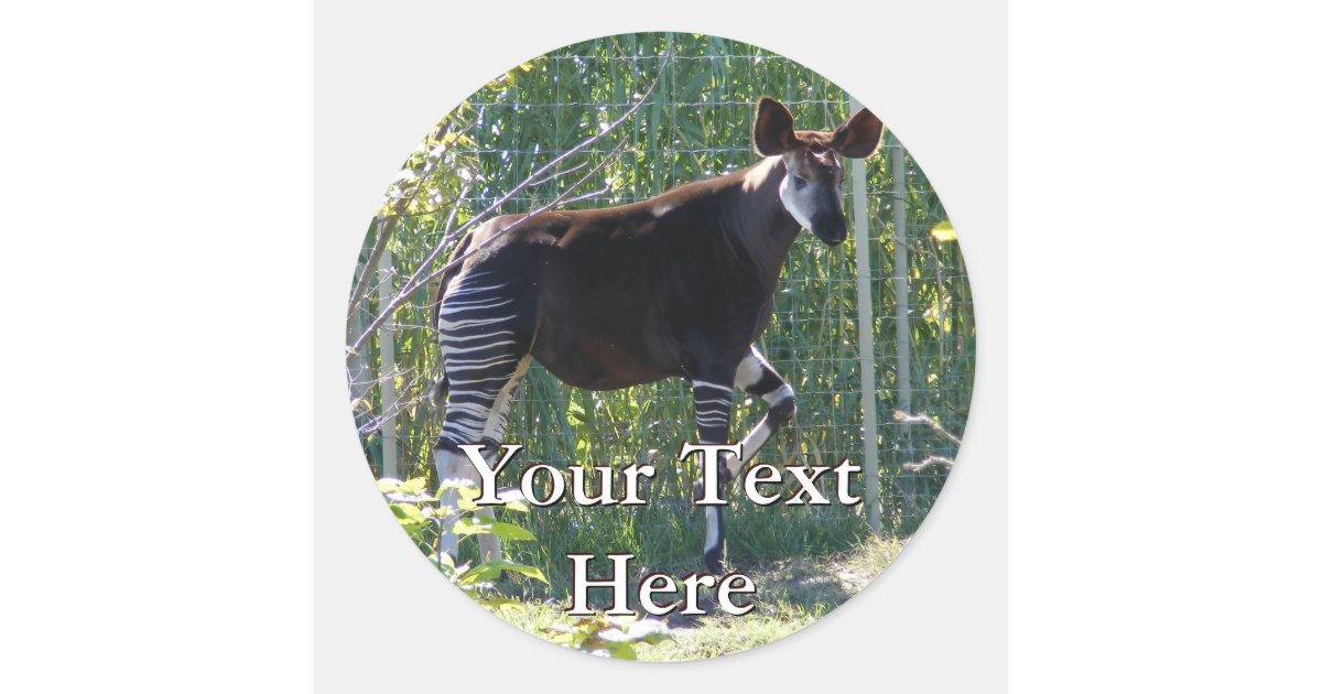 Okapi Stickers | Zazzle