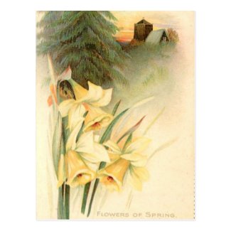 Spring - Postcards of the Past