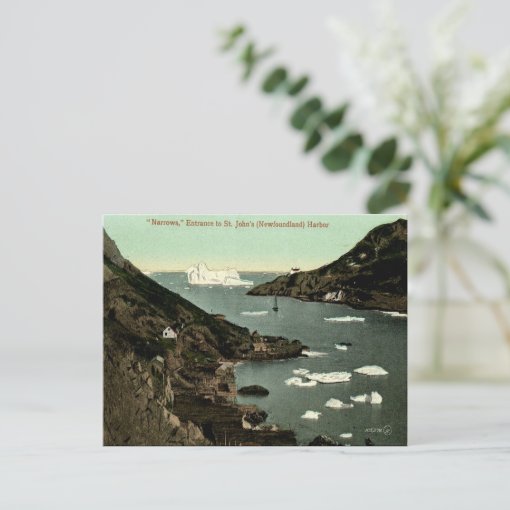Old Postcard - St John's, Newfoundland | Zazzle
