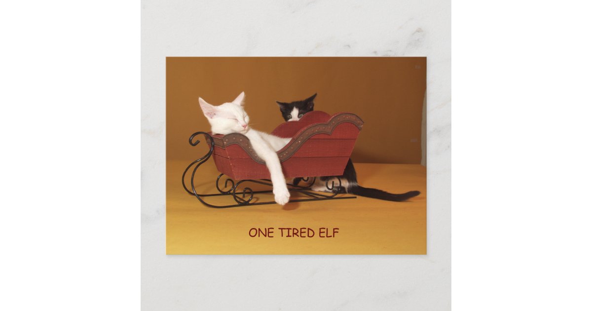 One Tired Elf Humour Christmas Post Card | Zazzle