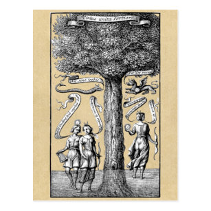Alchemy Symbols Postcards | Zazzle UK