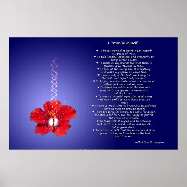 Optimist's Creed: Inspirational Hibiscus Poster | Zazzle