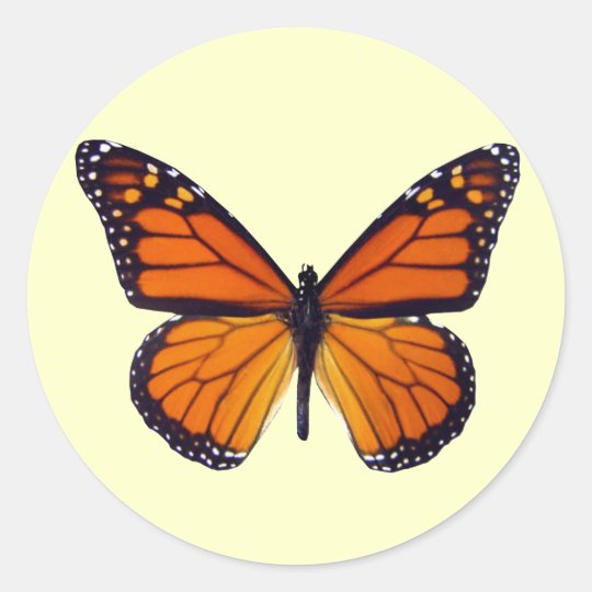 Orange Butterfly Stickers | Zazzle.co.uk