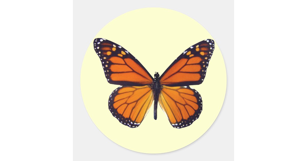 Orange Butterfly Stickers | Zazzle