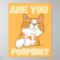Orange CAT Are you pooping bathroom Poster | Zazzle