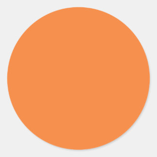 Plain Orange Stickers | Zazzle.co.uk