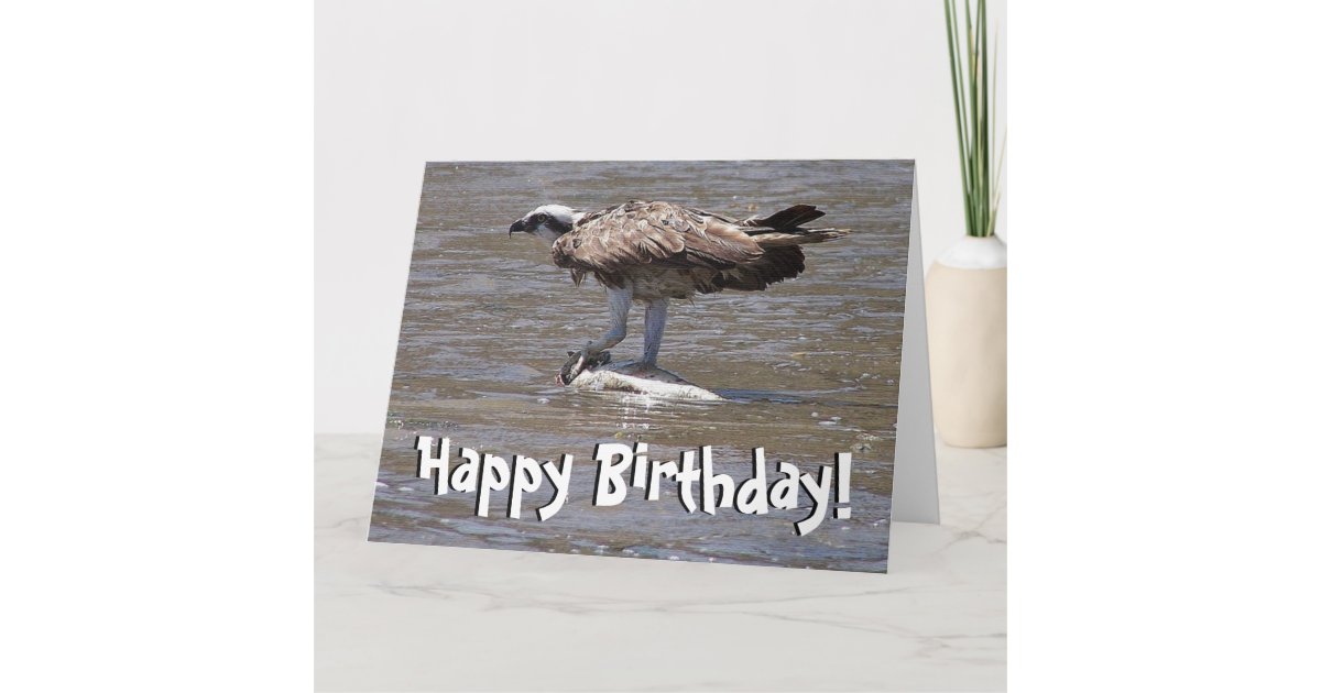 Osprey Bird & Fish Birthday Greeting Card | Zazzle