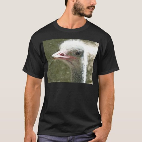 Ostrich T-Shirts & Shirt Designs | Zazzle UK
