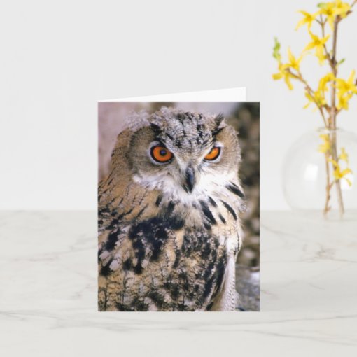 Owl Card | Zazzle