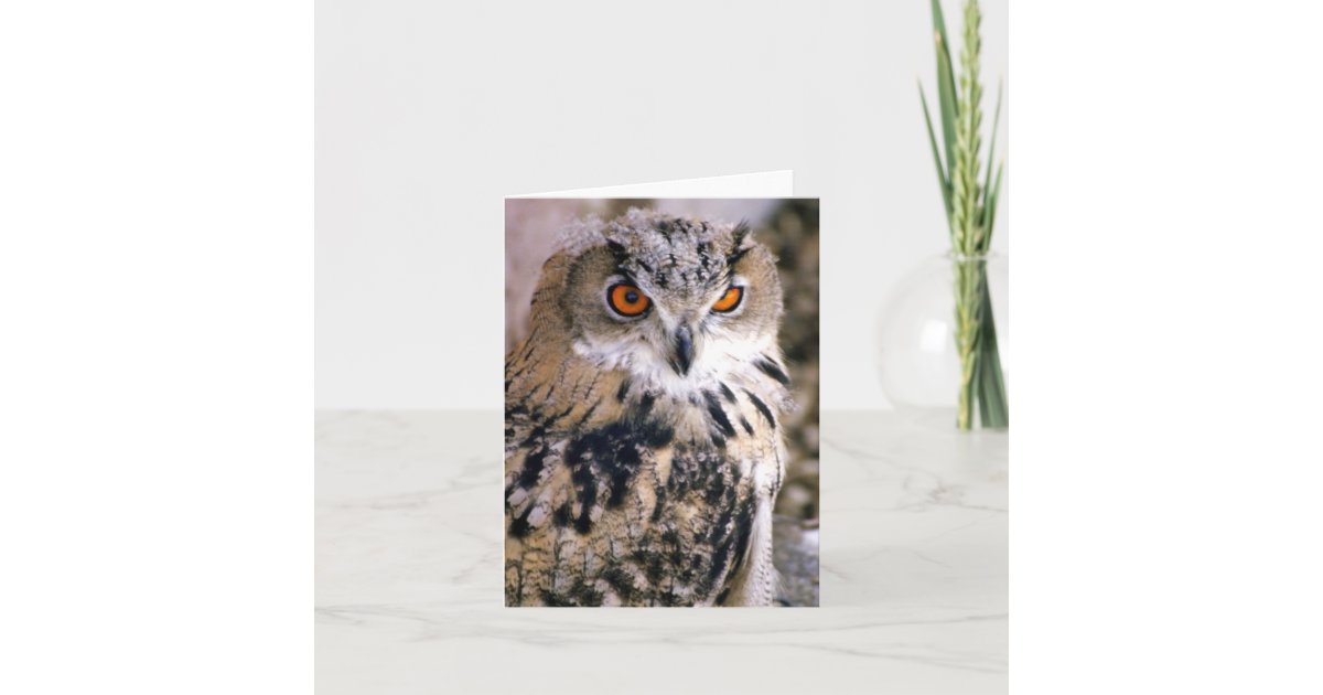 Owl Card | Zazzle