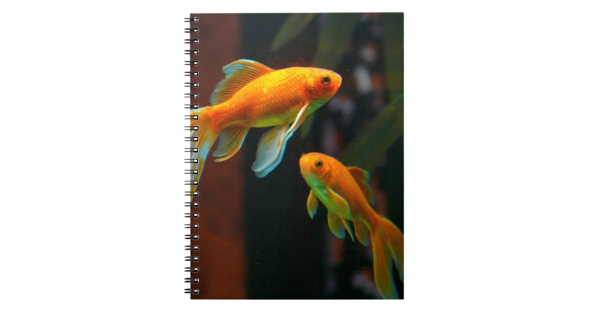 Pair of Lucky Goldfish Notebook | Zazzle