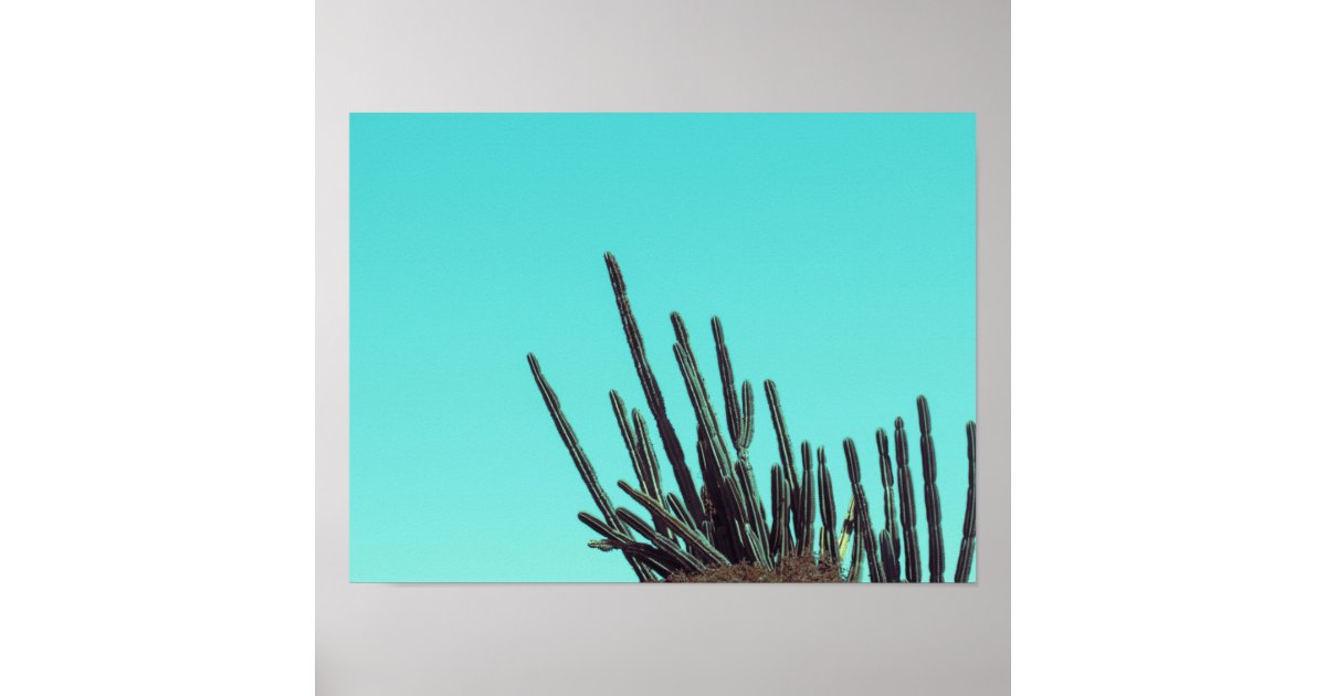 Pale Green Cactus Succulent Plants Minimalism Poster | Zazzle