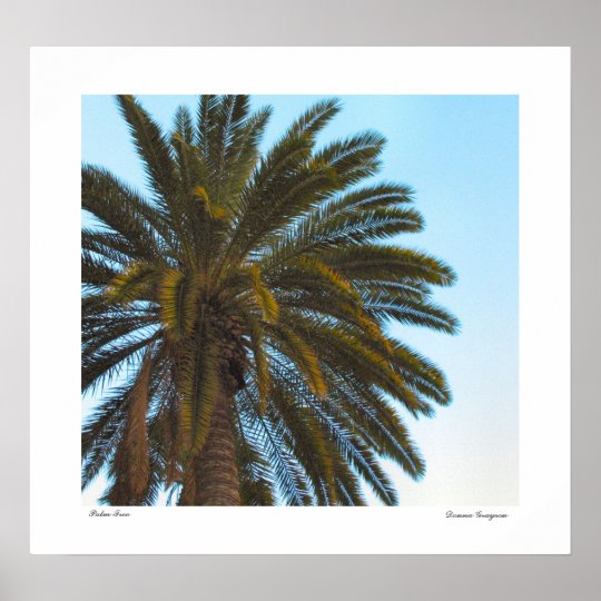 Palm Tree Poster Print | Zazzle.co.uk