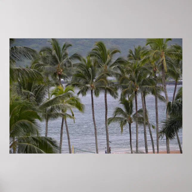 Palm Trees Poster | Zazzle