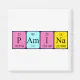 Pamina periodic table name magnet | Zazzle