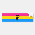 Pan Pride Bumper Sticker | Zazzle