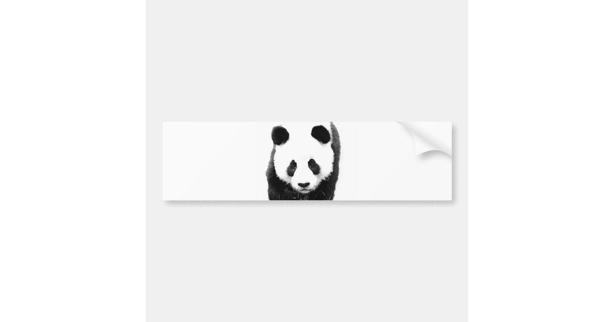 Panda Bumper Sticker | Zazzle