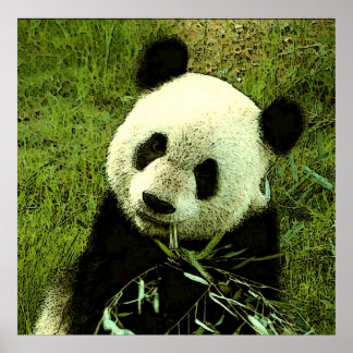 Save The Panda Posters, Save The Panda Prints - Zazzle UK