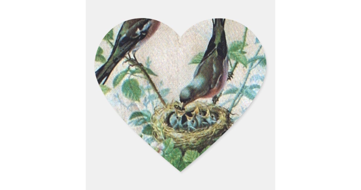 Parched Parents, Precious Chicks: A Nature's Story Heart Sticker | Zazzle