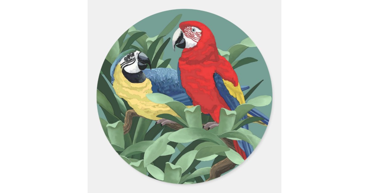 Parrot Stickers | Zazzle