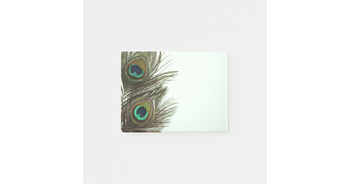 Peacock Feather Post-It Notes | Zazzle