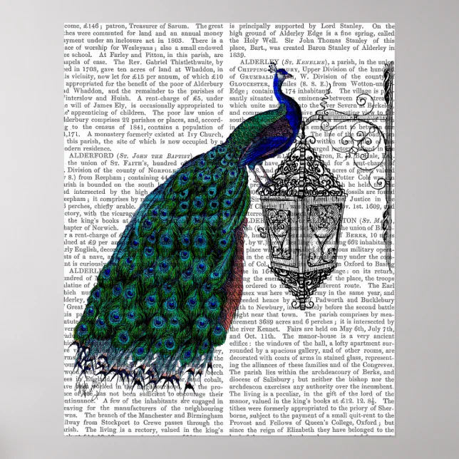 Peacock On Lamp Poster | Zazzle