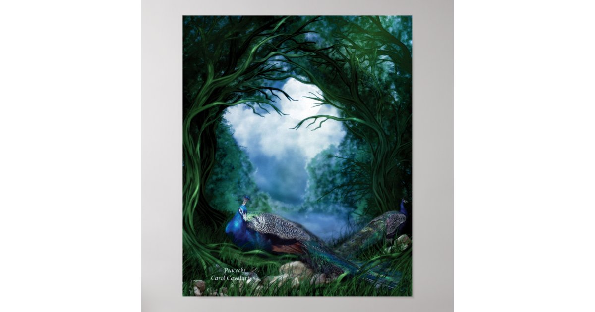 Peacocks Art Poster/Print Poster | Zazzle