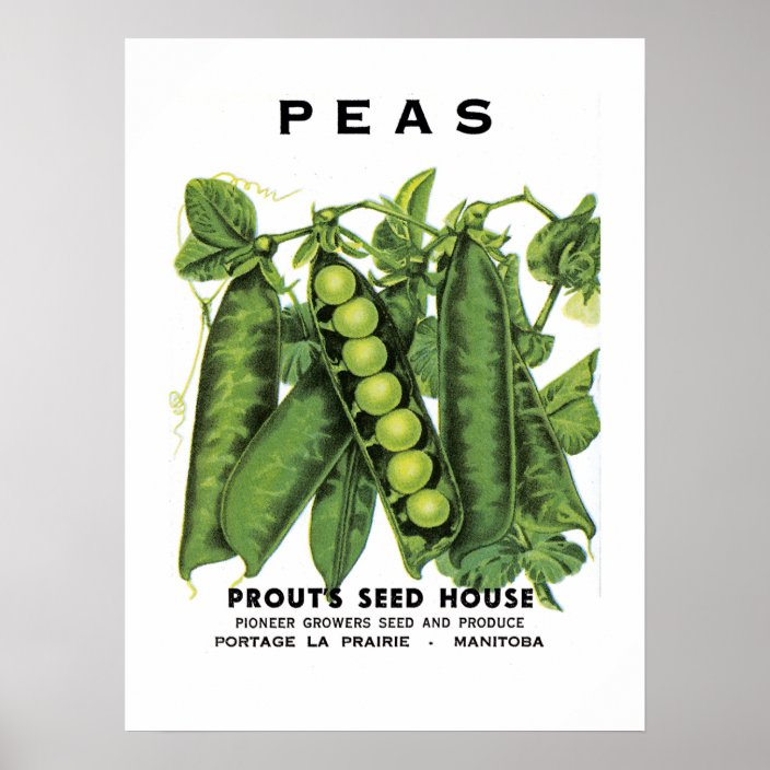 Peas Seed Packet Label Poster | Zazzle.co.uk