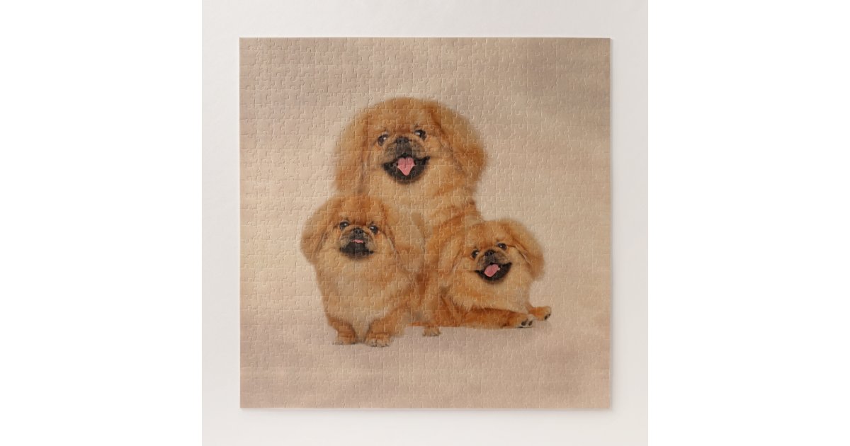 Pekingese dogs collage jigsaw puzzle | Zazzle