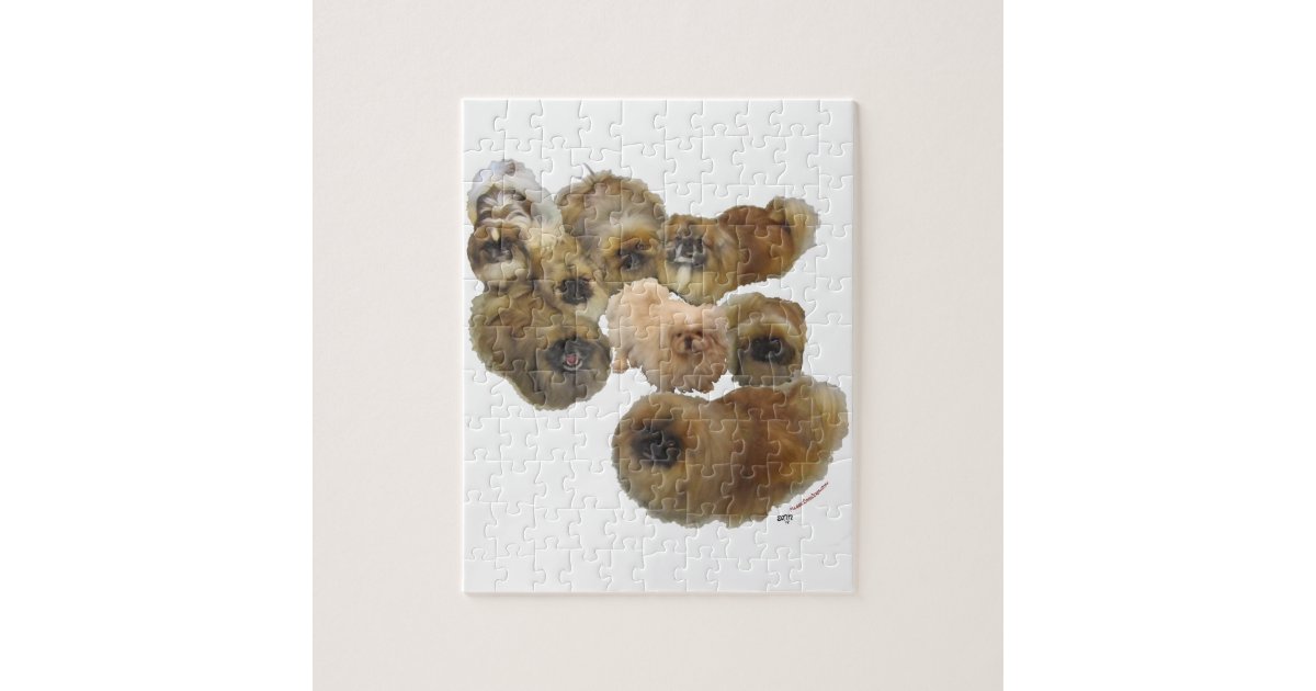 Pekingese Group Jigsaw Puzzle | Zazzle