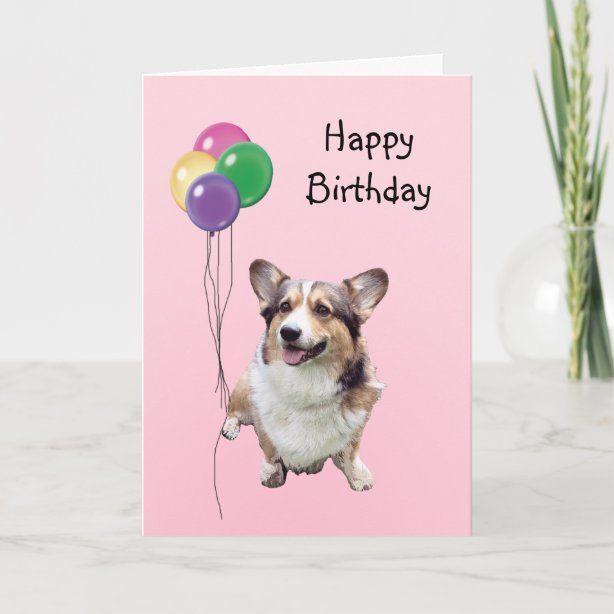 Corgi Birthday Cards | Zazzle UK
