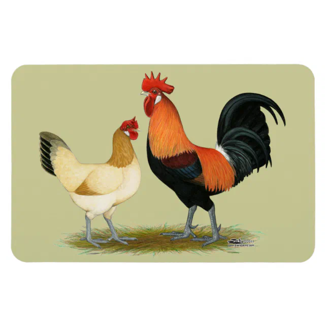 Penedesenca Chickens Magnet | Zazzle