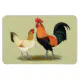 Penedesenca Chickens Magnet | Zazzle