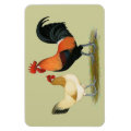 Penedesenca Chickens Magnet | Zazzle