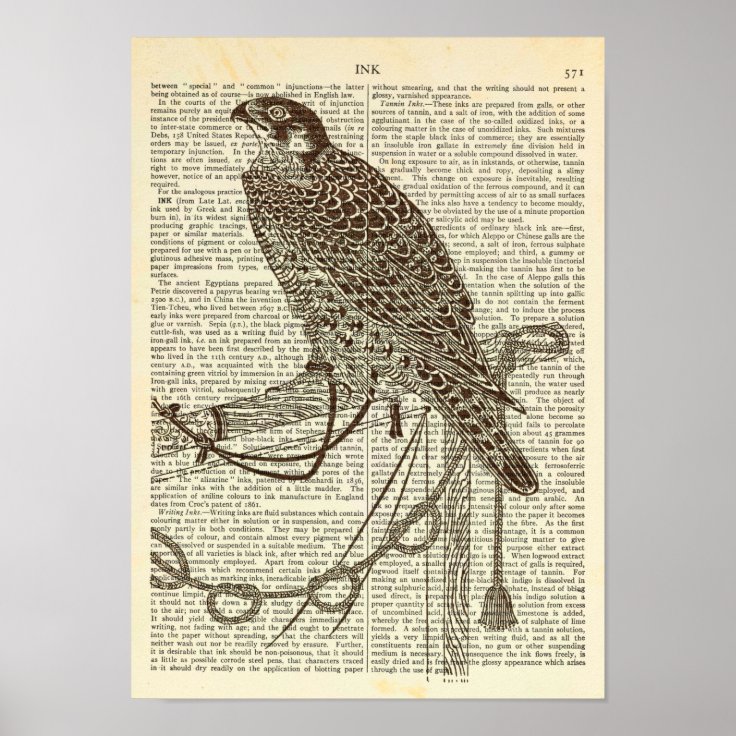 Perched Falcon, Iconic, Engraving, Falcon Art Poster | Zazzle