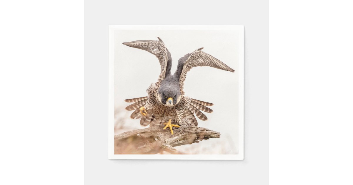 Peregrine Falcon Napkin | Zazzle