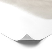 Persian cat sitting poster | Zazzle