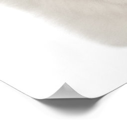 Persian cat sitting poster | Zazzle