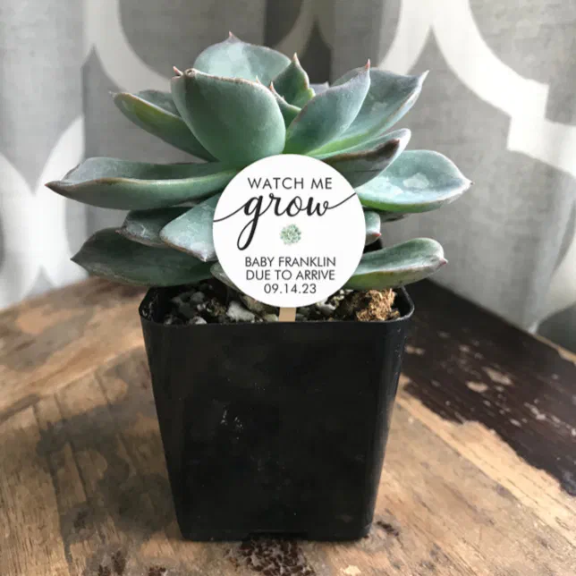 Personalised Baby Shower Succulent Favour Classic Round Sticker | Zazzle