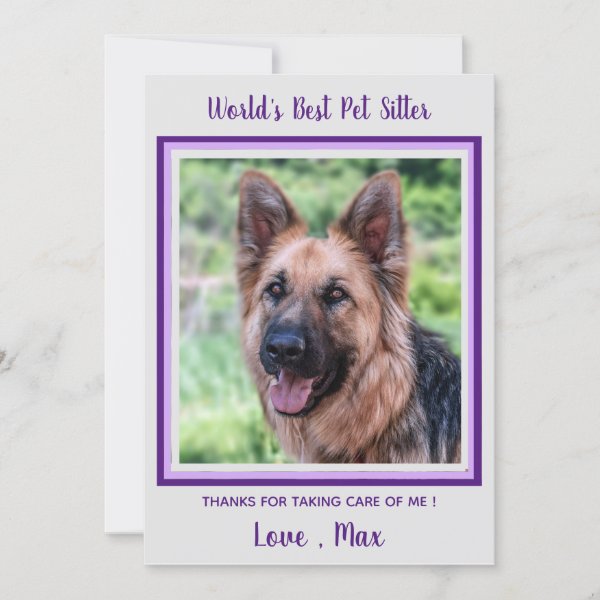 Pet Sitter Gifts Gift Ideas Zazzle UK pet-sitter-gifts-gift-ideas-zazzle-uk