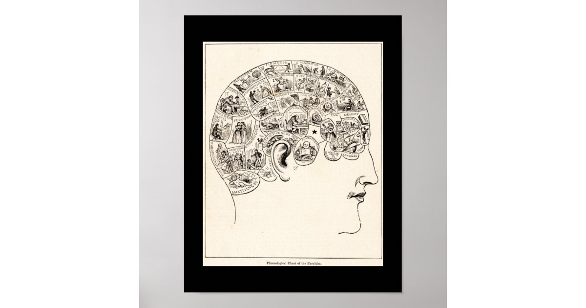 Phrenological chart of the faculties, vintage art | Zazzle