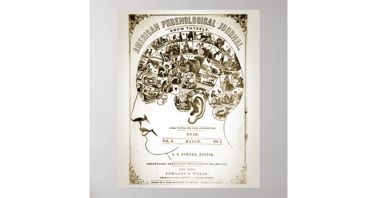 Phrenology Poster | Zazzle