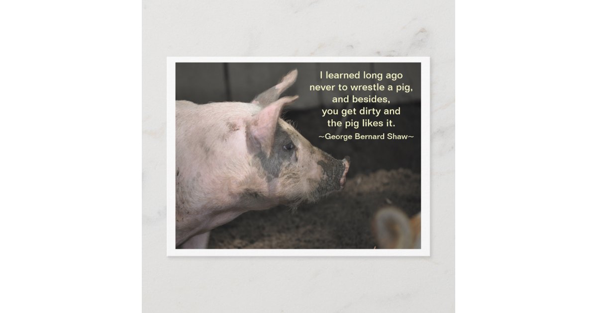 Pig Wisdom - wrestle Postcard | Zazzle