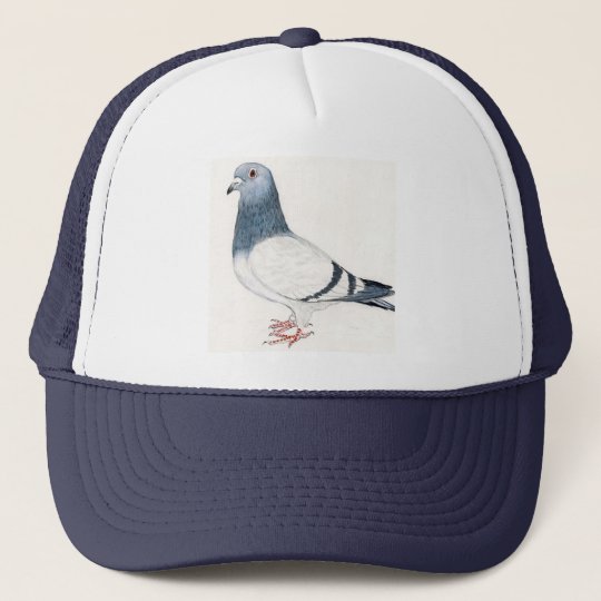 Pigeon Hat | Zazzle.co.uk