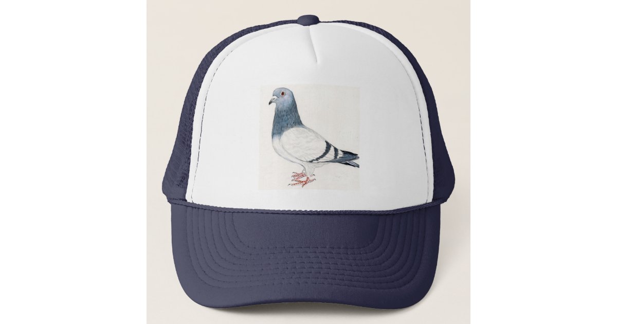 Pigeon Hat | Zazzle