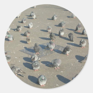 Pigeon Stickers | Zazzle.co.uk