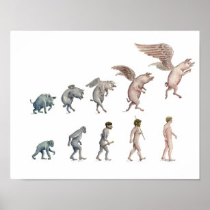 Evolution Of Man Posters & Prints | Zazzle UK