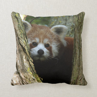 Red Panda Gifts - T-Shirts, Art, Posters & Other Gift Ideas | Zazzle