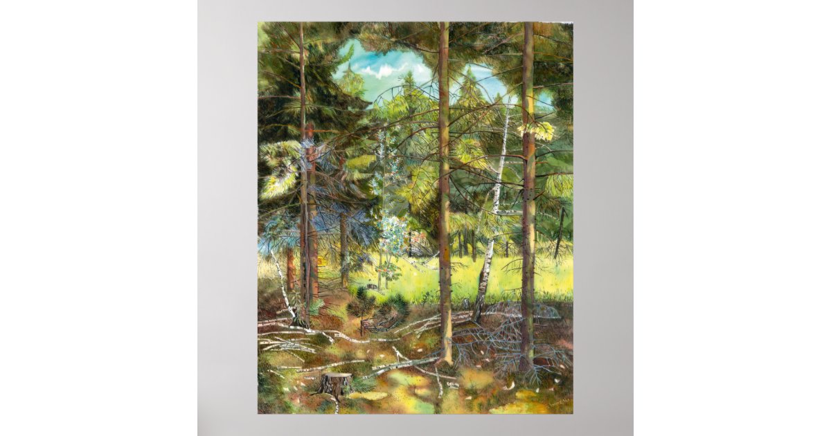 Pine forest poster | Zazzle