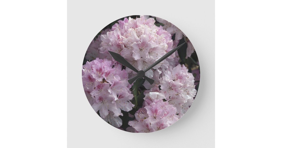 Pink Azaleas, Rhododendron Garden Flowers Round Clock | Zazzle